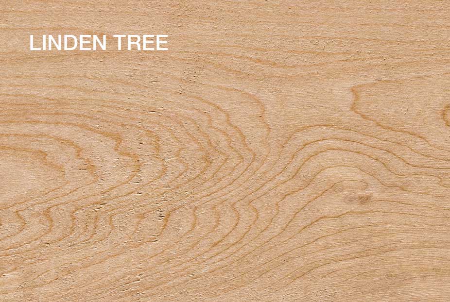 Wood types | origin and characteristics | Futonwerk