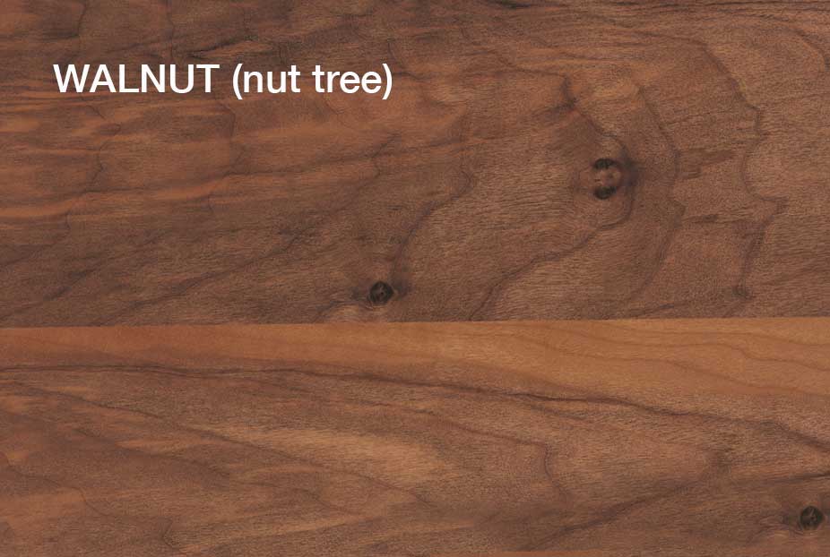 Wood types | origin and characteristics | Futonwerk